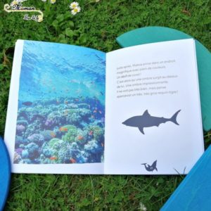 Défis Nature - Romans Premières Lectures {Lecture} - Maman Sur Le Fil