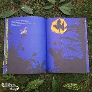 A la découverte des éditions Fourmis Rouges {Lecture} - Maman Sur Le Fil