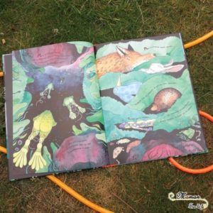 A la découverte des éditions Fourmis Rouges {Lecture} - Maman Sur Le Fil