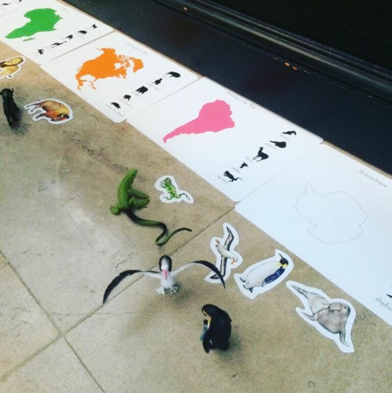 Récapitulatif d'idées d'activités autour des animaux {Activité} - Maman ...