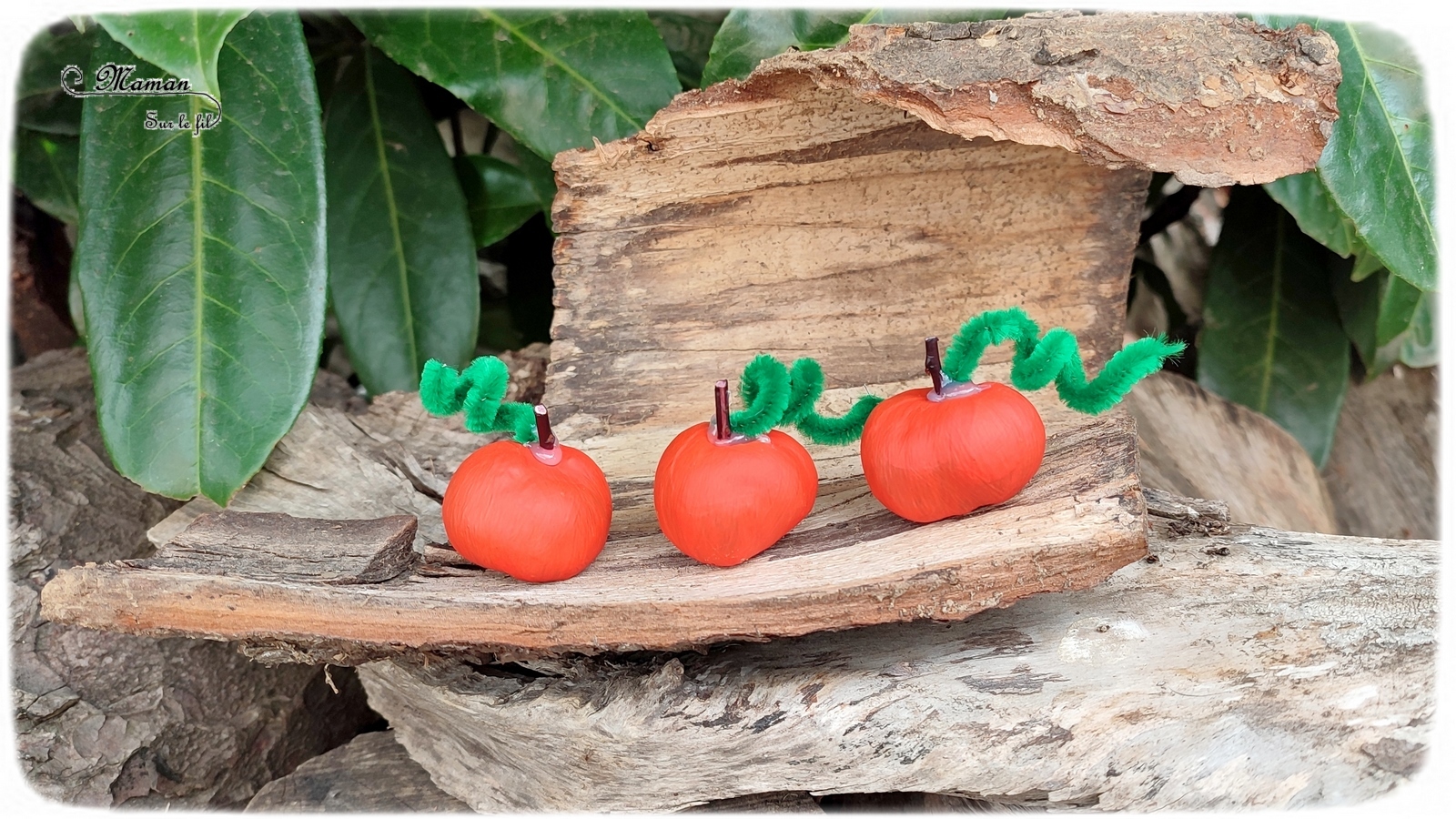 Des citrouilles avec des marrons {Activité} - Maman Sur Le Fil