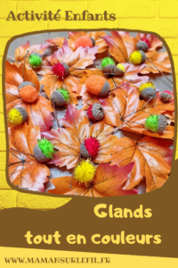 Glands colorés avec des pompons {Activité} - Maman Sur Le Fil