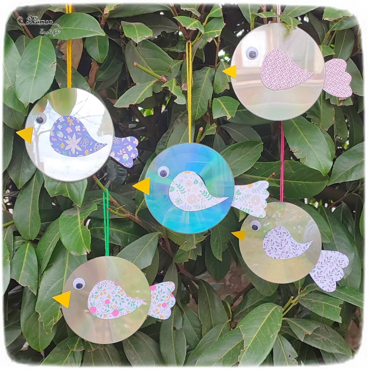 Fabriquer des oiseaux avec de vieux CD {Activité} - Maman Sur Le Fil