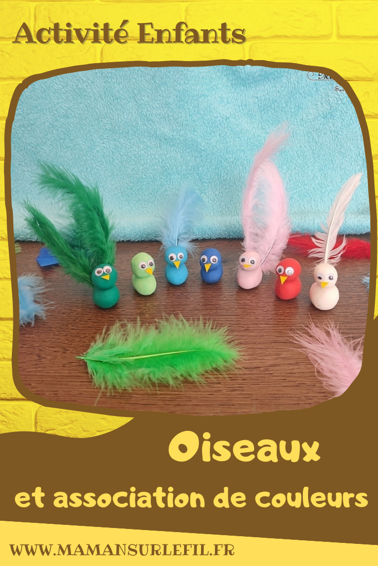 Oiseaux en pâte à modeler et couleurs {Activité} - Maman Sur Le Fil
