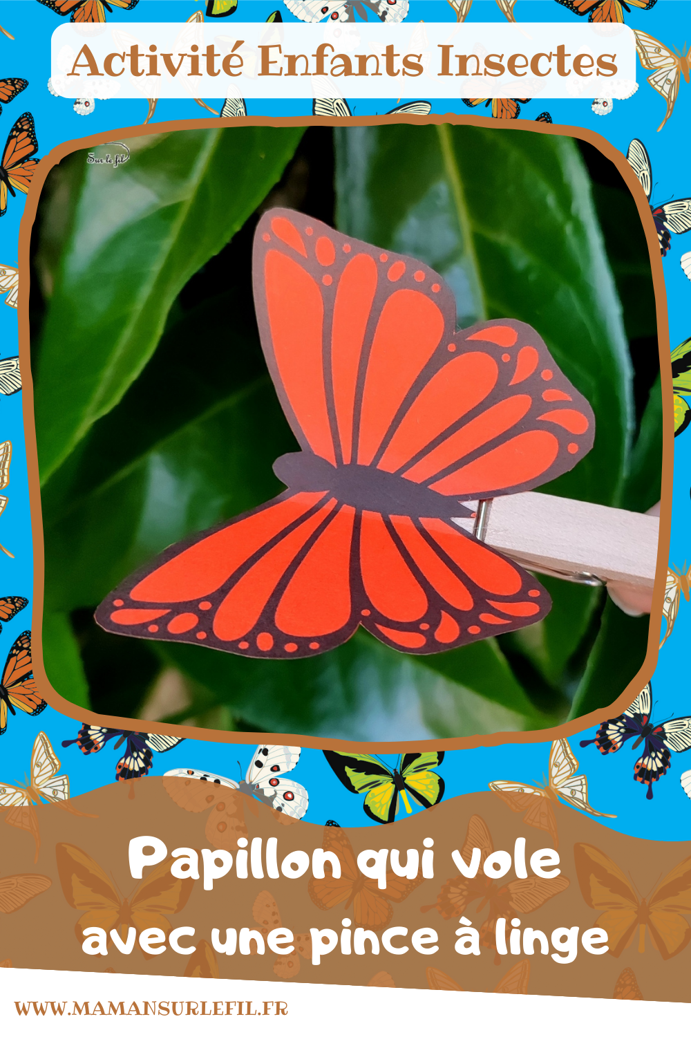 Papillon qui vole avec une pince à linge {Activité} - Maman Sur Le Fil