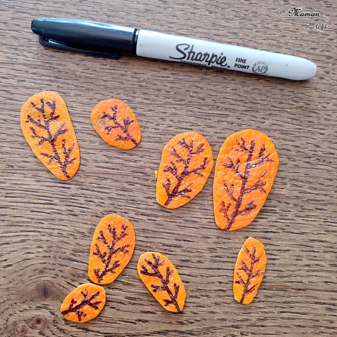 Arbres d'automne avec des épluchures de clémentines {Activité} - Maman ...