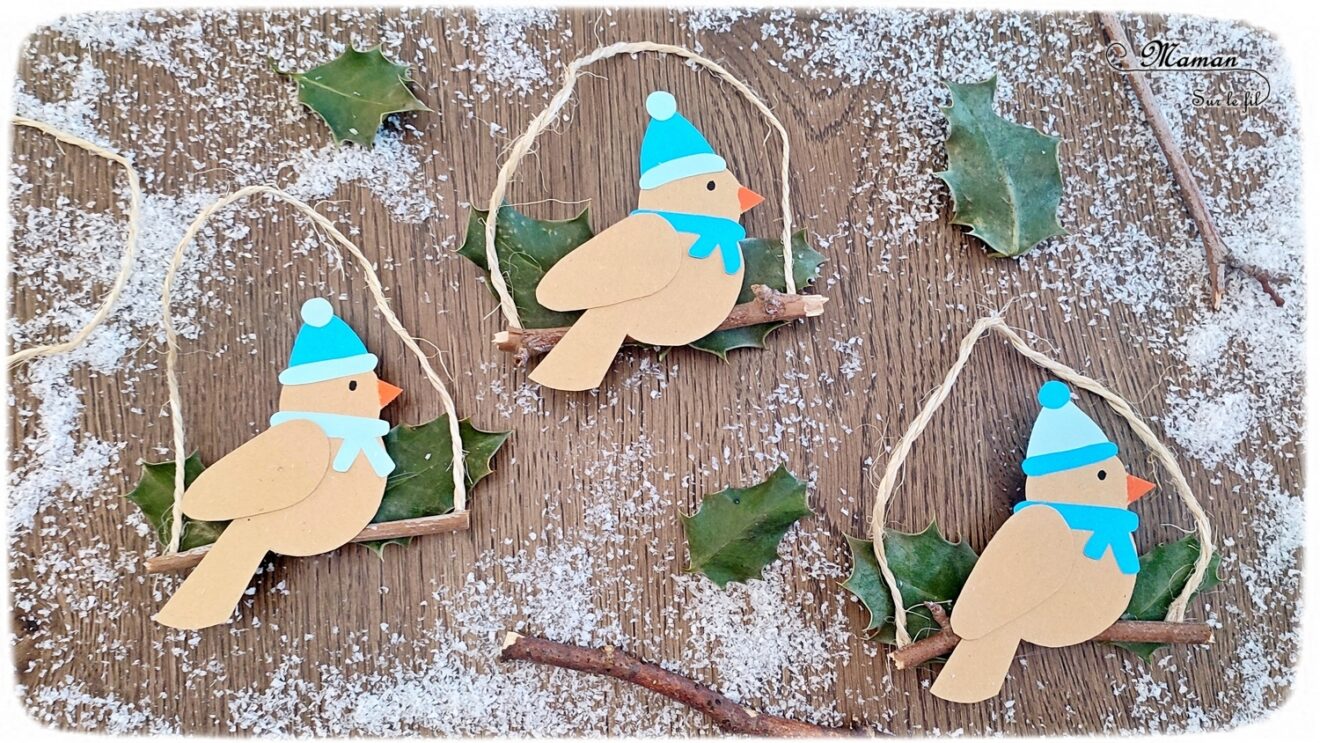 Oiseaux d'hiver frigorifiés {Activité} - Maman Sur Le Fil