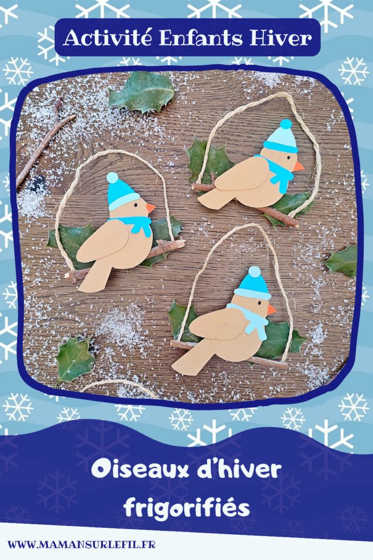 Oiseaux d'hiver frigorifiés {Activité} - Maman Sur Le Fil