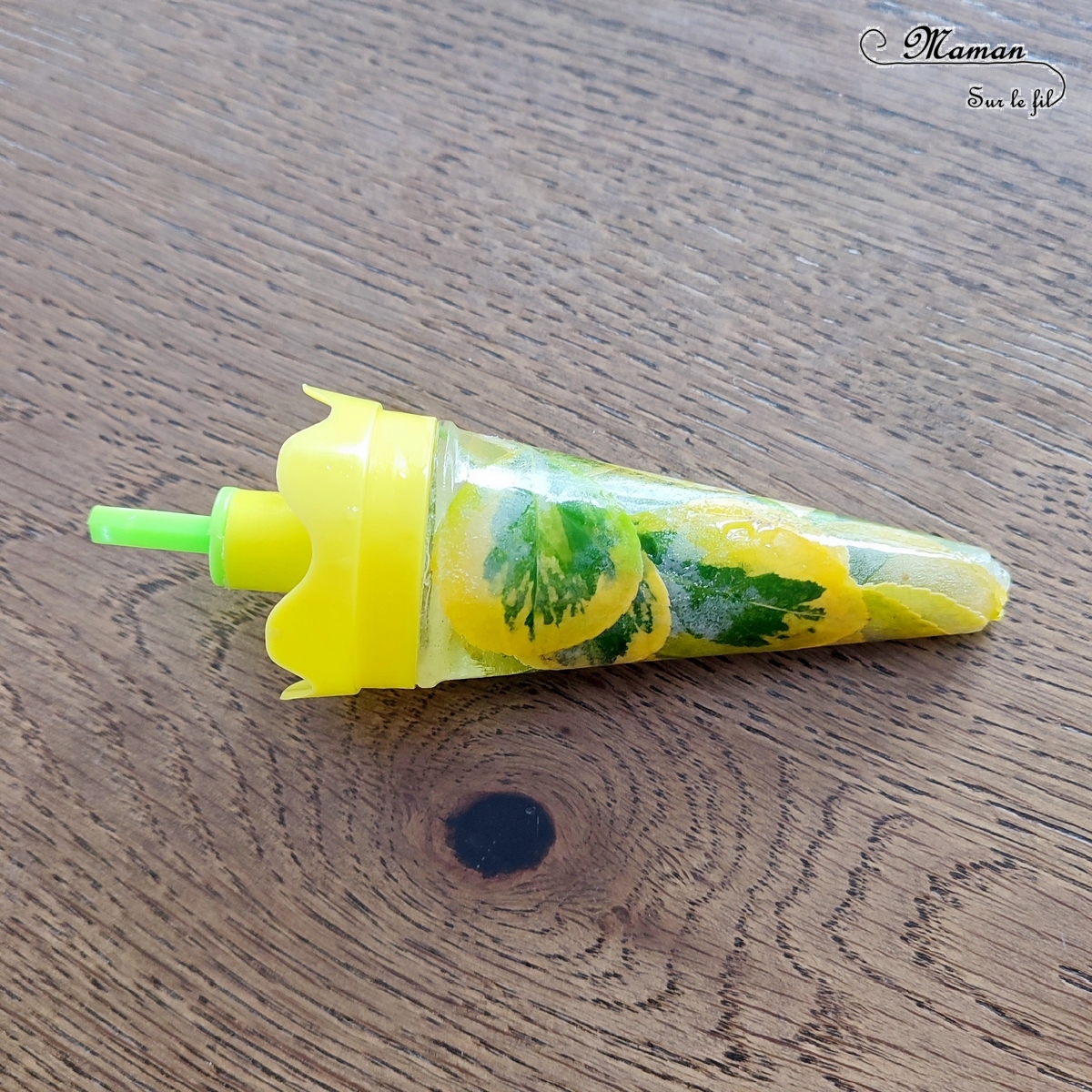 Glaces à l'eau nature et fleuries {Activité} - Maman Sur Le Fil