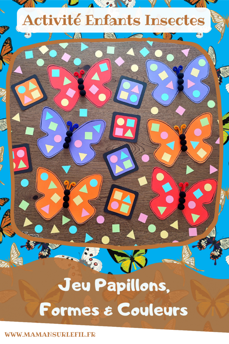 Jeu Papillons, Formes et Couleurs {Activité} - Maman Sur Le Fil