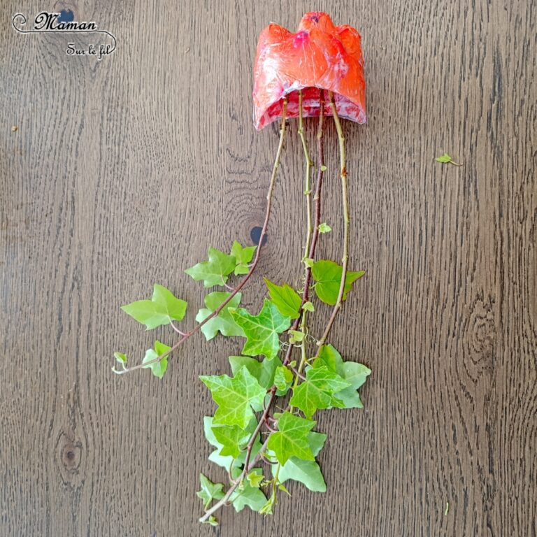 Méduses Nature et Récup' {Activité} - Maman Sur Le Fil