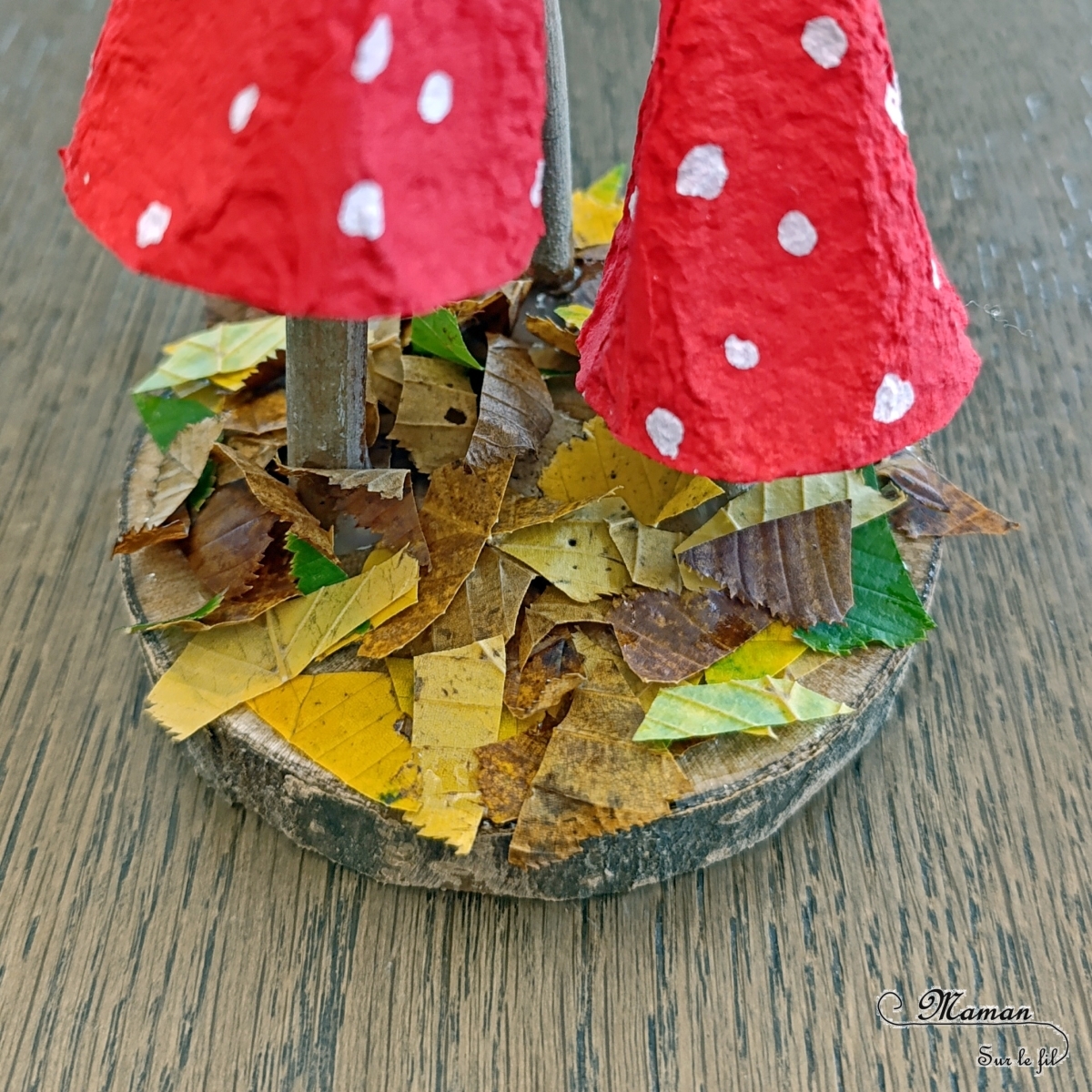 Champignons Nature et Boites à oeufs {Activité} - Maman Sur Le Fil