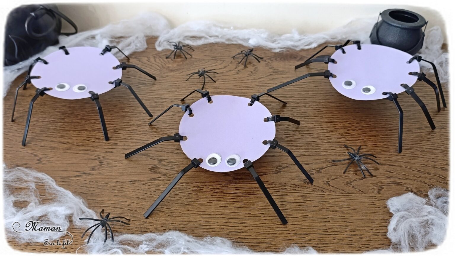 Araignées sauteuses avec des colliers de serrage {Activité} - Maman Sur ...