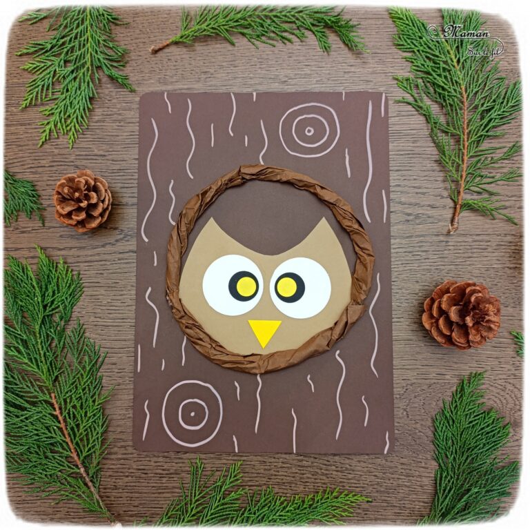 Hibou caché dans son trou d'arbre {Activité} - Maman Sur Le Fil