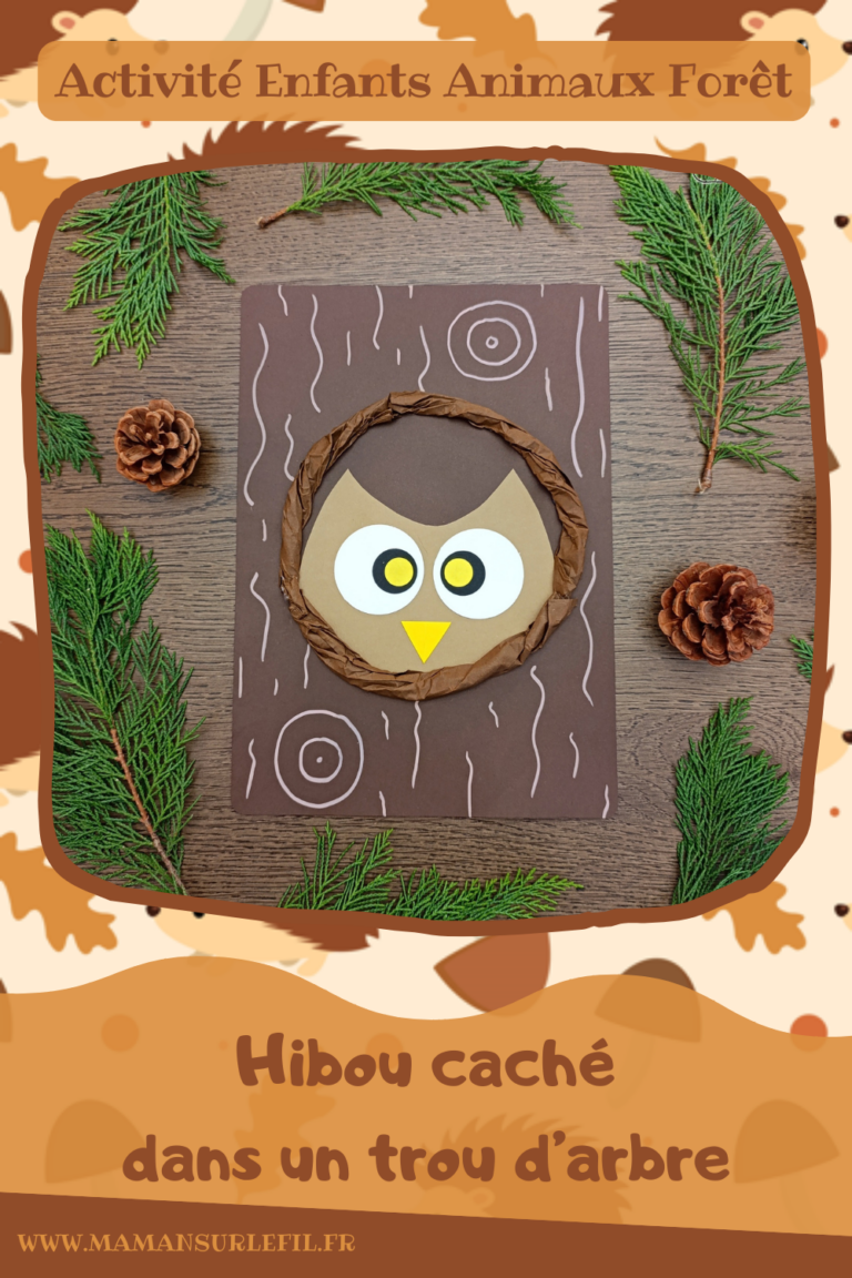 Hibou caché dans son trou d'arbre {Activité} - Maman Sur Le Fil