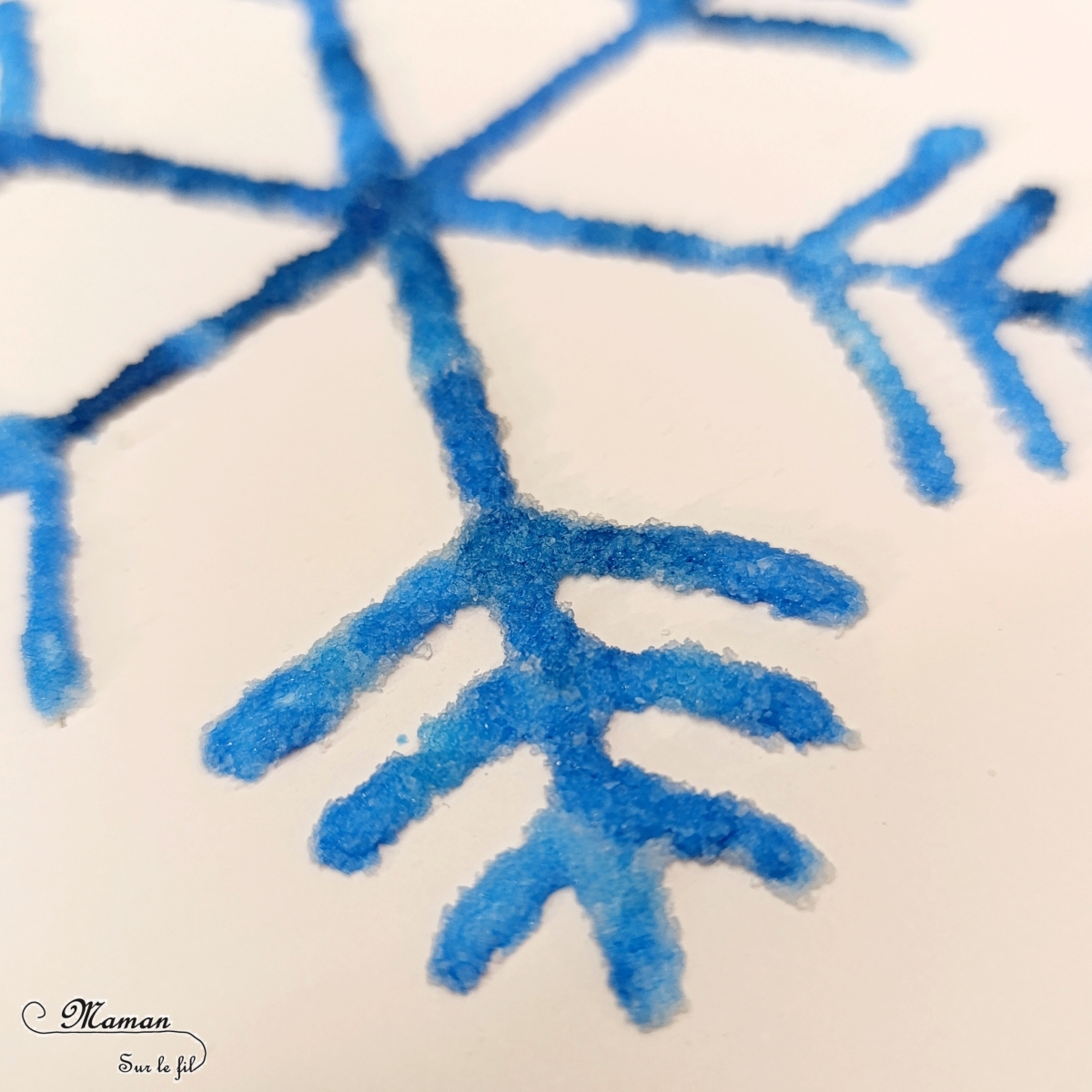 Tableaux circulaires Flocon en sel et peinture {Activité} - Maman Sur ...