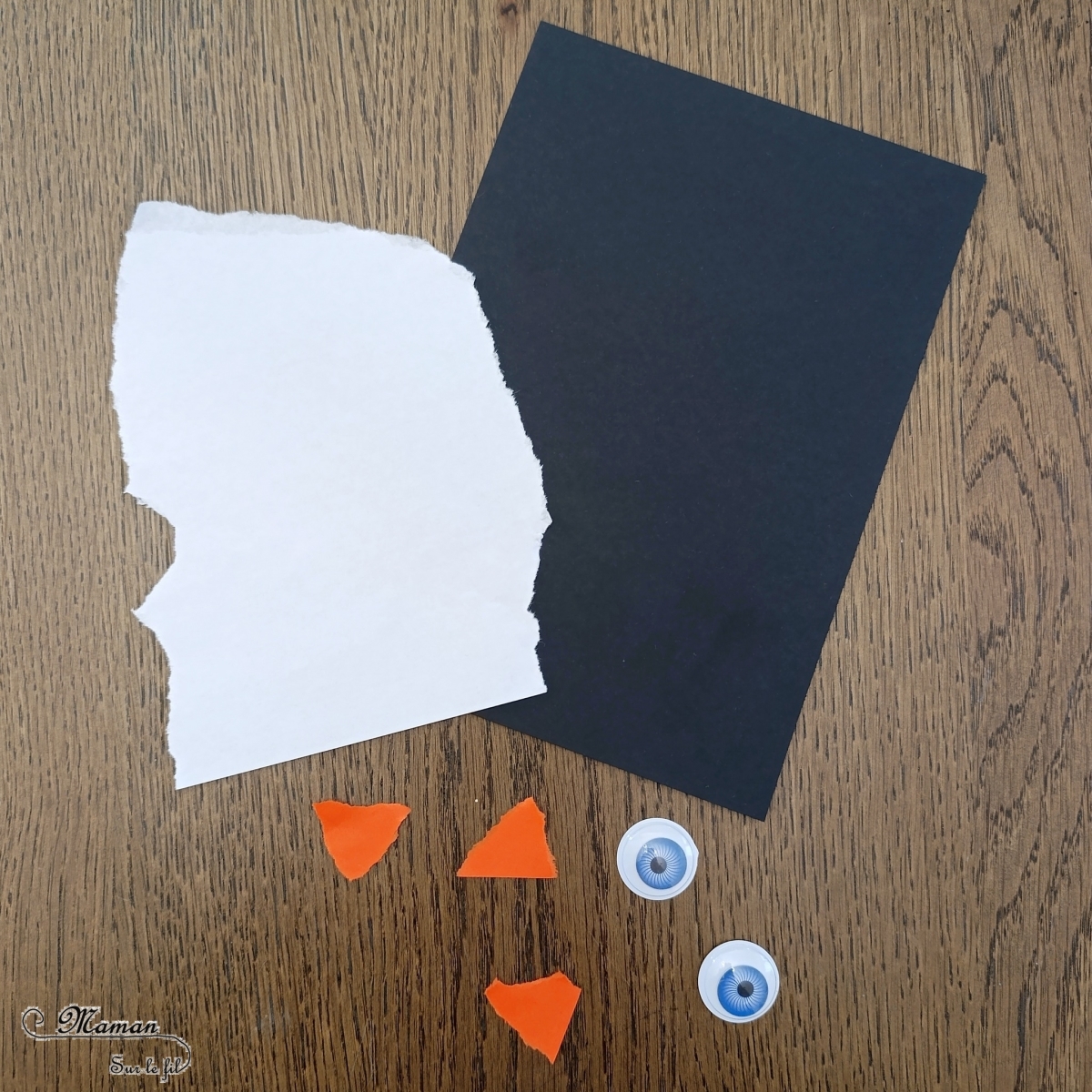 Manchots en papier déchiré {Activité} - Maman Sur Le Fil