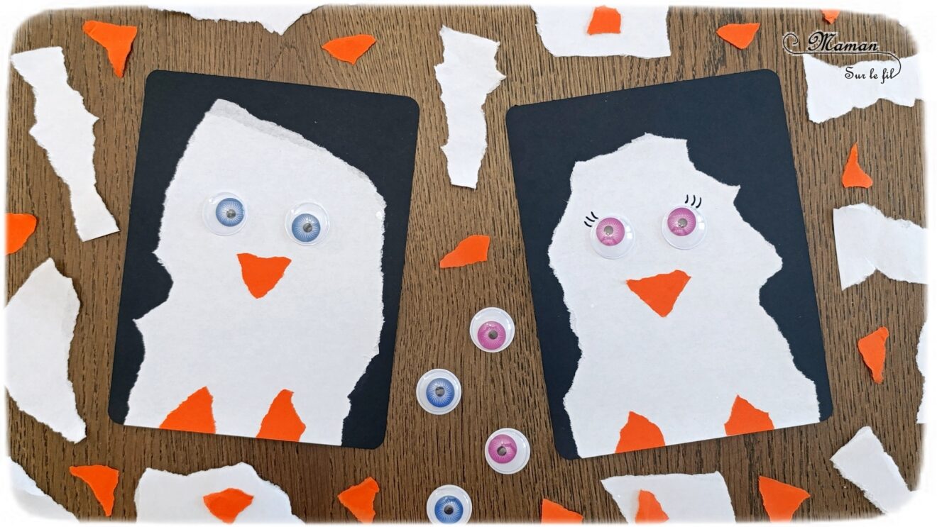 Activités, Lectures et Jeux sur les Manchots & Pingouins - Maman Sur Le Fil