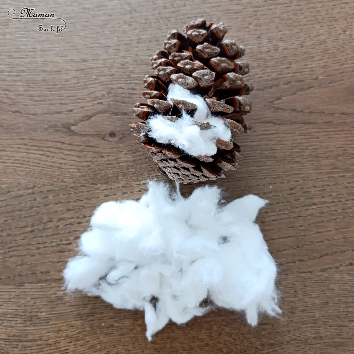 Harfang des neiges avec une pomme de pin {Activité} - Maman Sur Le Fil